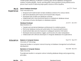 24 Database Developer Resume Examples And Templates For 2024 Expert