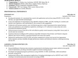 Programmer Resume Example Writing Tips