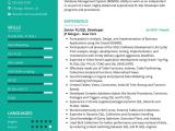 Sql Developer Resume