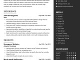 Mean Stack Developer Cv Example In 2026 Resumekraft