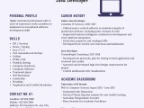 Java Developer Resume Samples Templates Pdf Doc 2019 Java