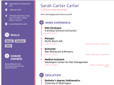 Download Free Full Stack Web Developer 2 Resume Template On