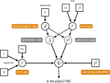 Revbayes Relaxed Clocks Time Trees