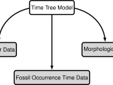 Revbayes Combined Evidence Analysis And The Fossilized Birth Death