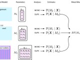 Revbayes Partitioned Data Analysis