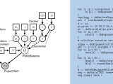 Revbayes Polymorphism Aware Phylogenetic Models With Balancing Selection