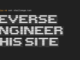 Reverse Engineer This Site