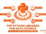 Top 10 Python Libraries For Data Science 2026 Guide Rfsoftlab