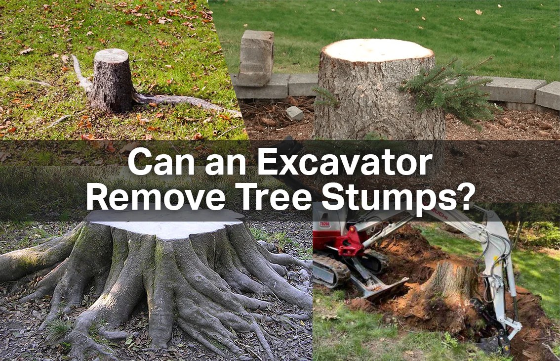 Can An Excavator Remove Tree Stumps Rhinox Group Us