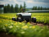 Rhizebio The Future Of Farming Top Innovations In Agtech