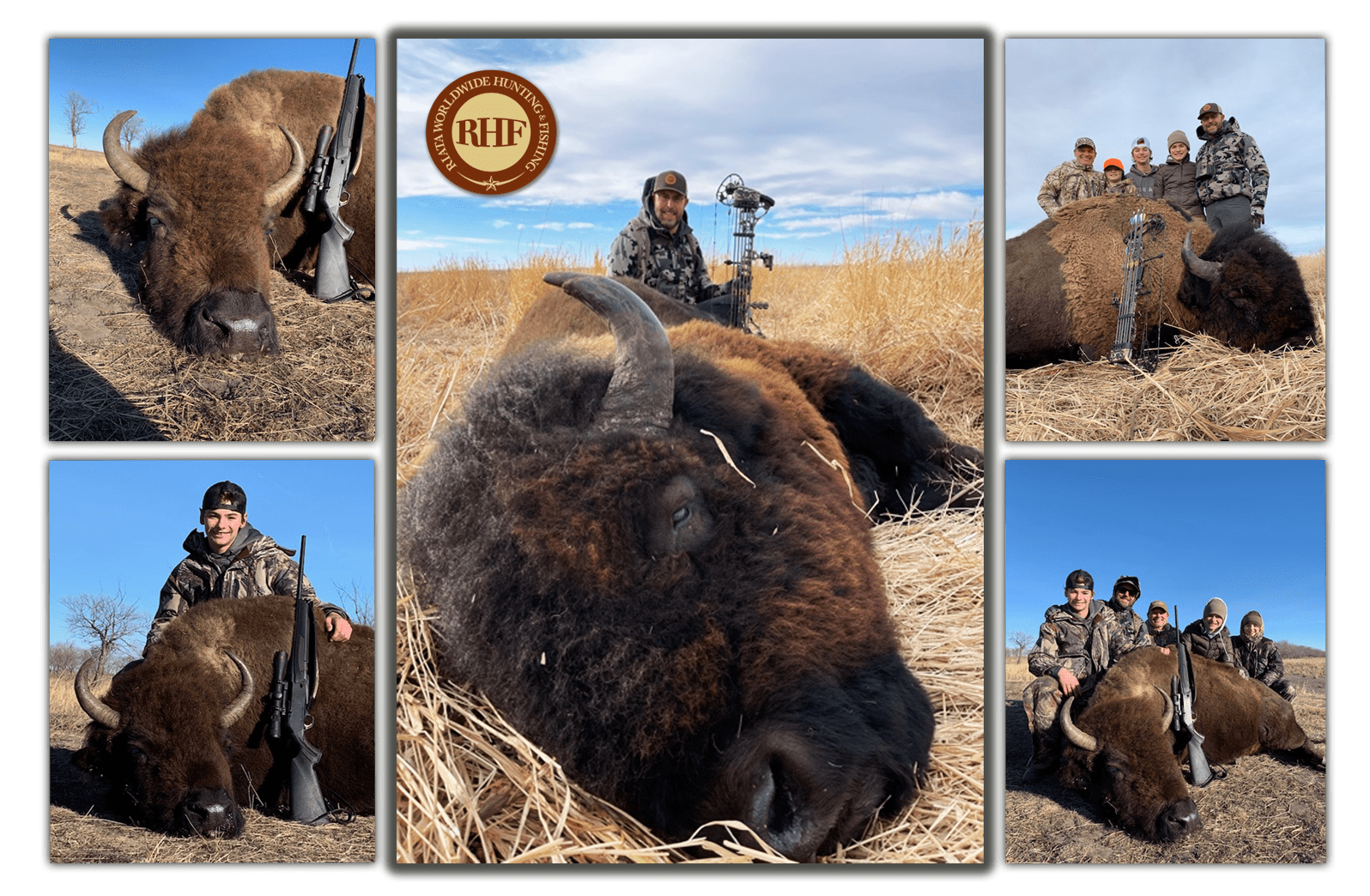 bison-1 | Riata Worldwide Hunting & Fishing