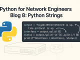 Python For Network Engineers Blog 8 Python Strings Richardkilleen