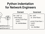 Python For Network Engineers Blog 6 Python Indentation Richardkilleen
