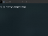 Setting Up Sql Server Databases In Docker
