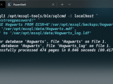 Setting Up Sql Server Databases In Docker