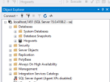 Setting Up Sql Server Databases In Docker