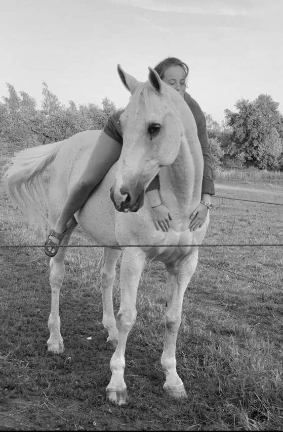 Om – Rich Stables