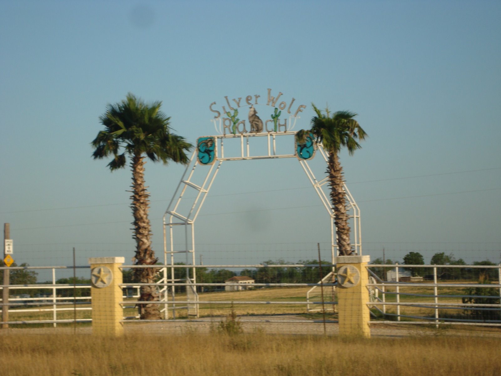 silver wolf ranch | Rick's American Cafe