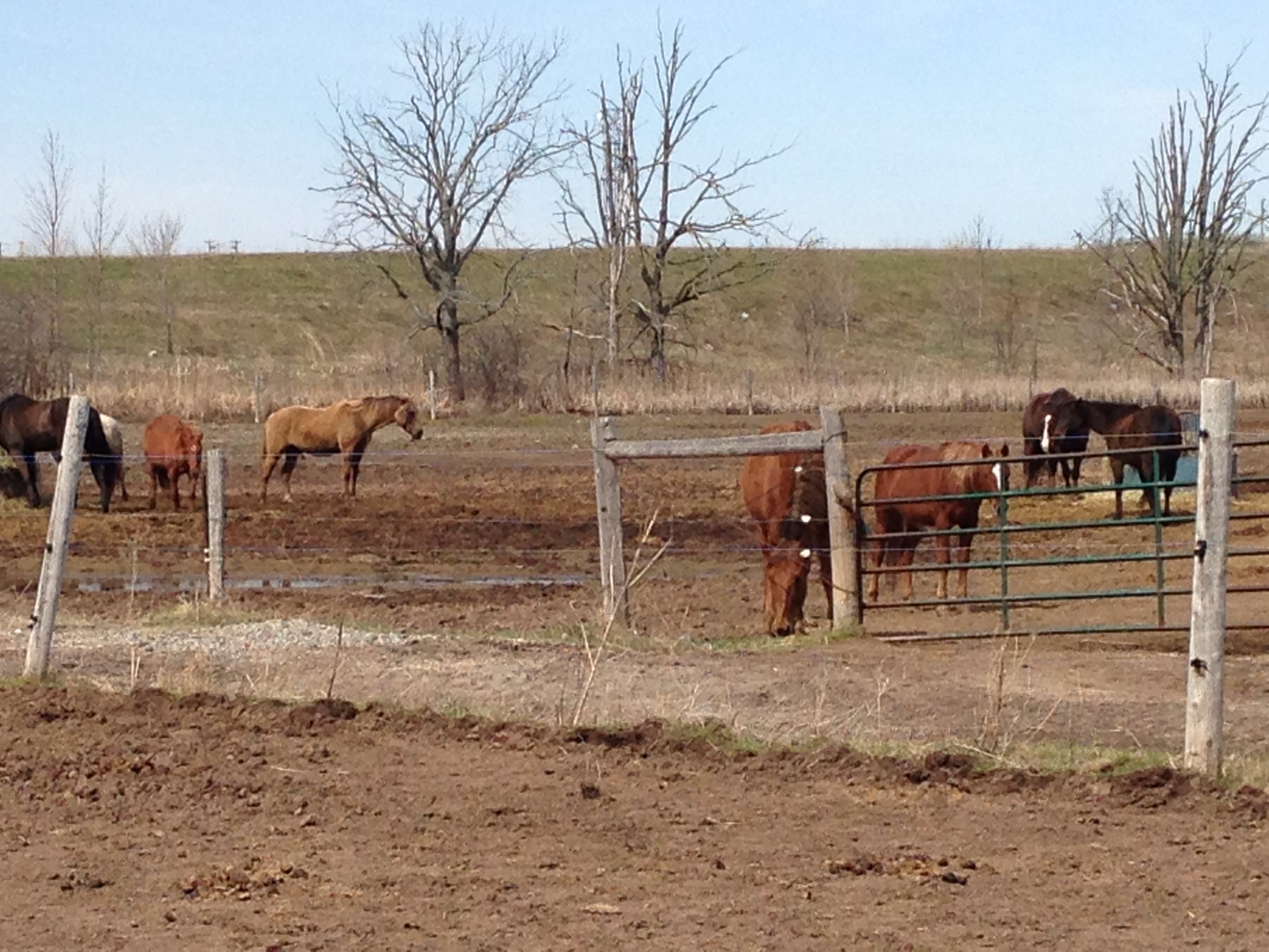 Photo Gallery – The Ranch