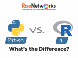Python Vs R What S The Difference Rise Networks