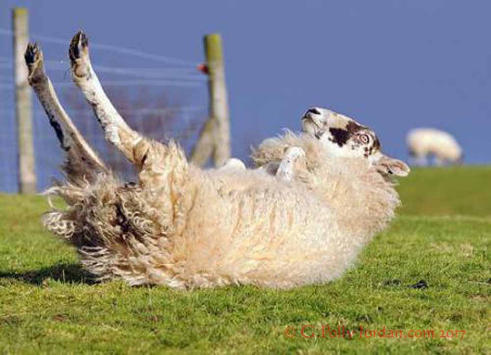 Upside Down - The Storyteller