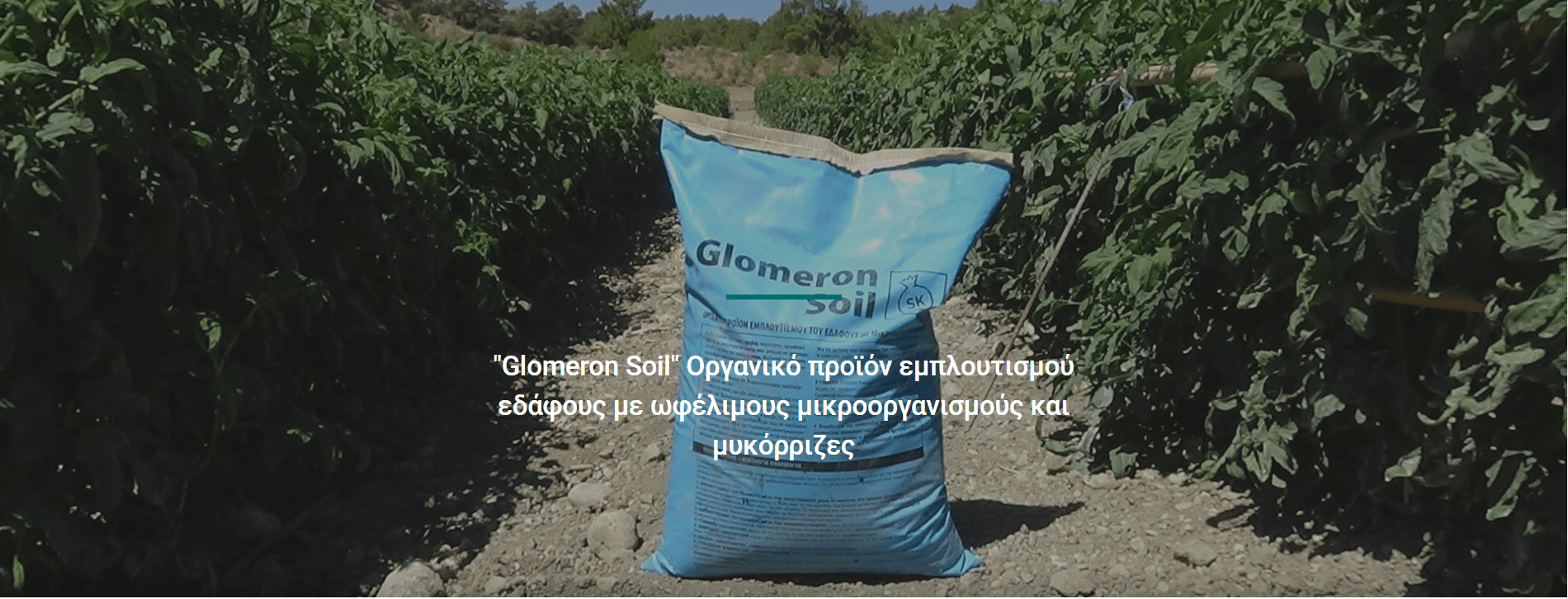 Glomeron Soil (20 Διαφορετικοί Ωφέλιμοι Μικροοργανισμοί)