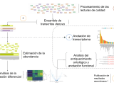 Transcriptomic Protocols Ngs Protocols To Wrangling Transcriptomics