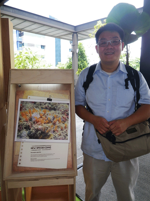 A Decade of Biodiversity Conservation and Discoveries in Singapore ...