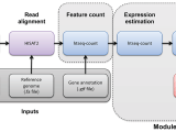 Differential Expression With Deseq2 Griffith Lab