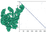 Rnascope Benchmarking Rna Language Models For Rna Sequence Understanding