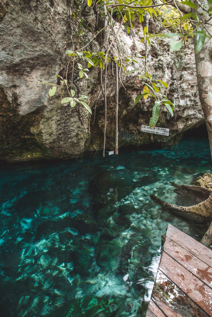 17 Best Cenotes in Tulum, Mexico You Must Visit (2026)