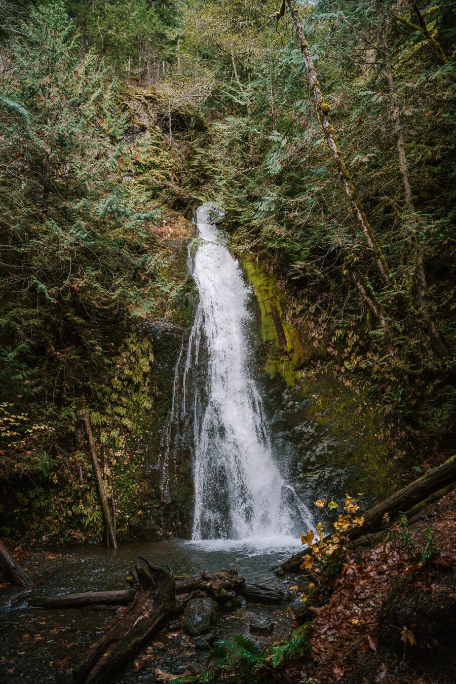 Our Epic 2 Days in Olympic National Park Itinerary