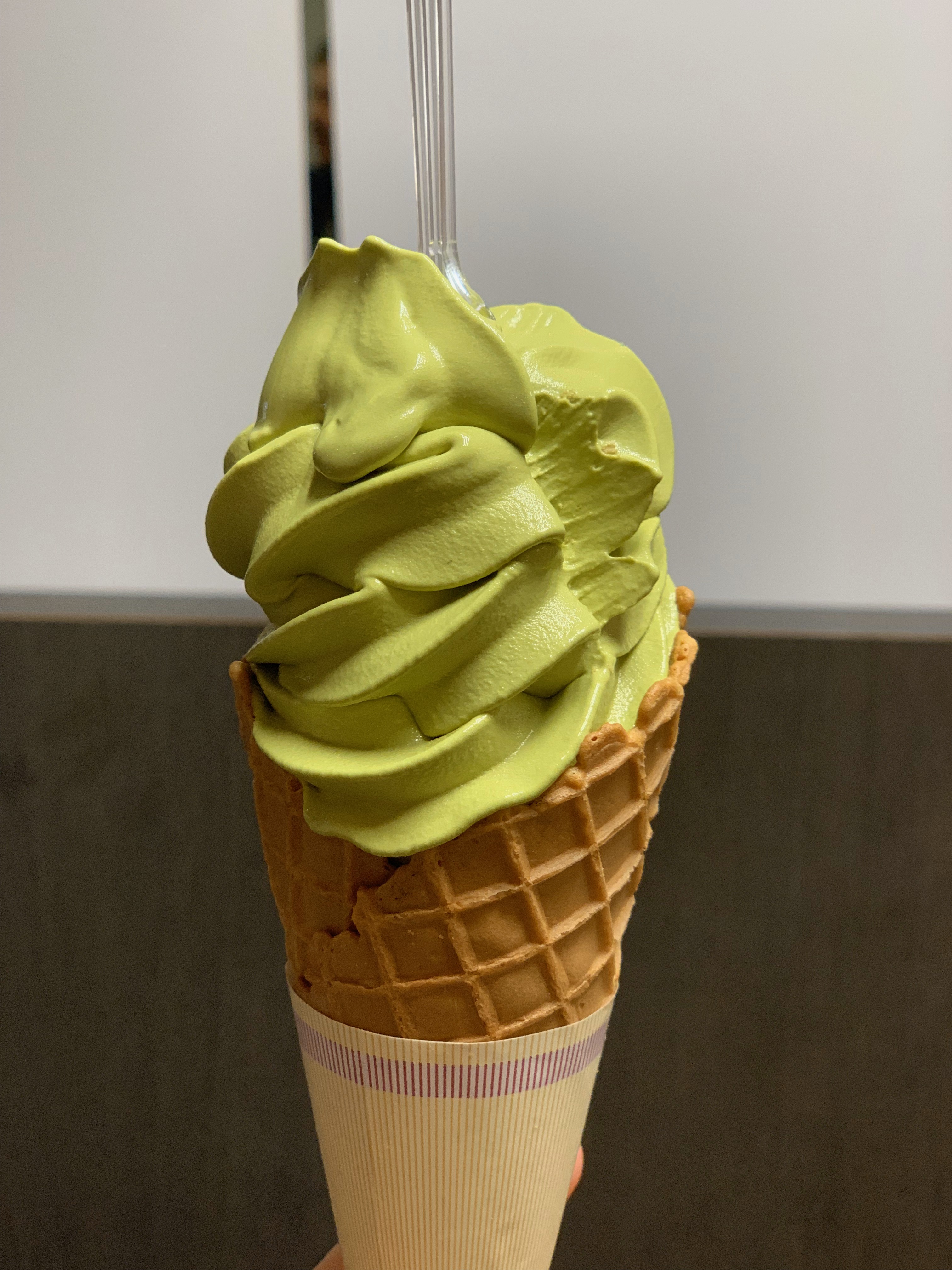 Kyoto & Confessions of a Geisha Stalker | Roaming Mom