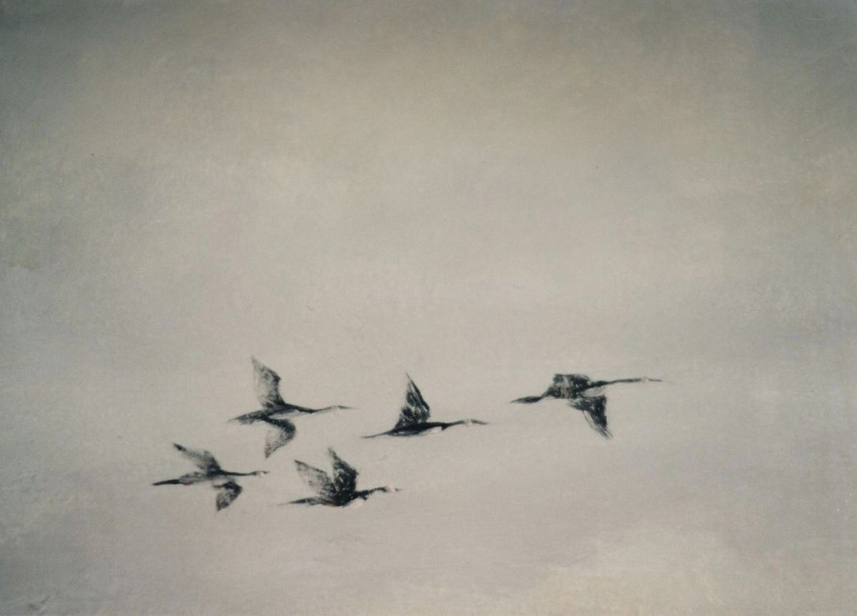 Portfolio - Robin Carter Studio