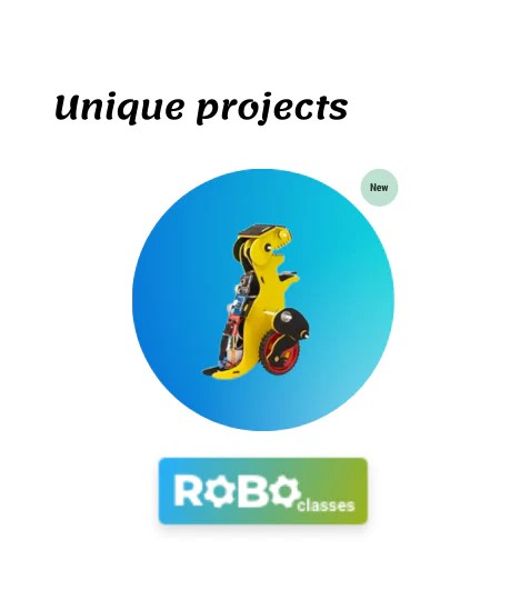Electronic Robotics Class Using Witblox Robo Classes