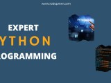 Master In Python Programming From Industry Expert Roboprenr