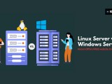 Linux Server Vs Windows Server Rocon Expert Guide