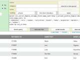 Executing Sql Queries Roi Solutions