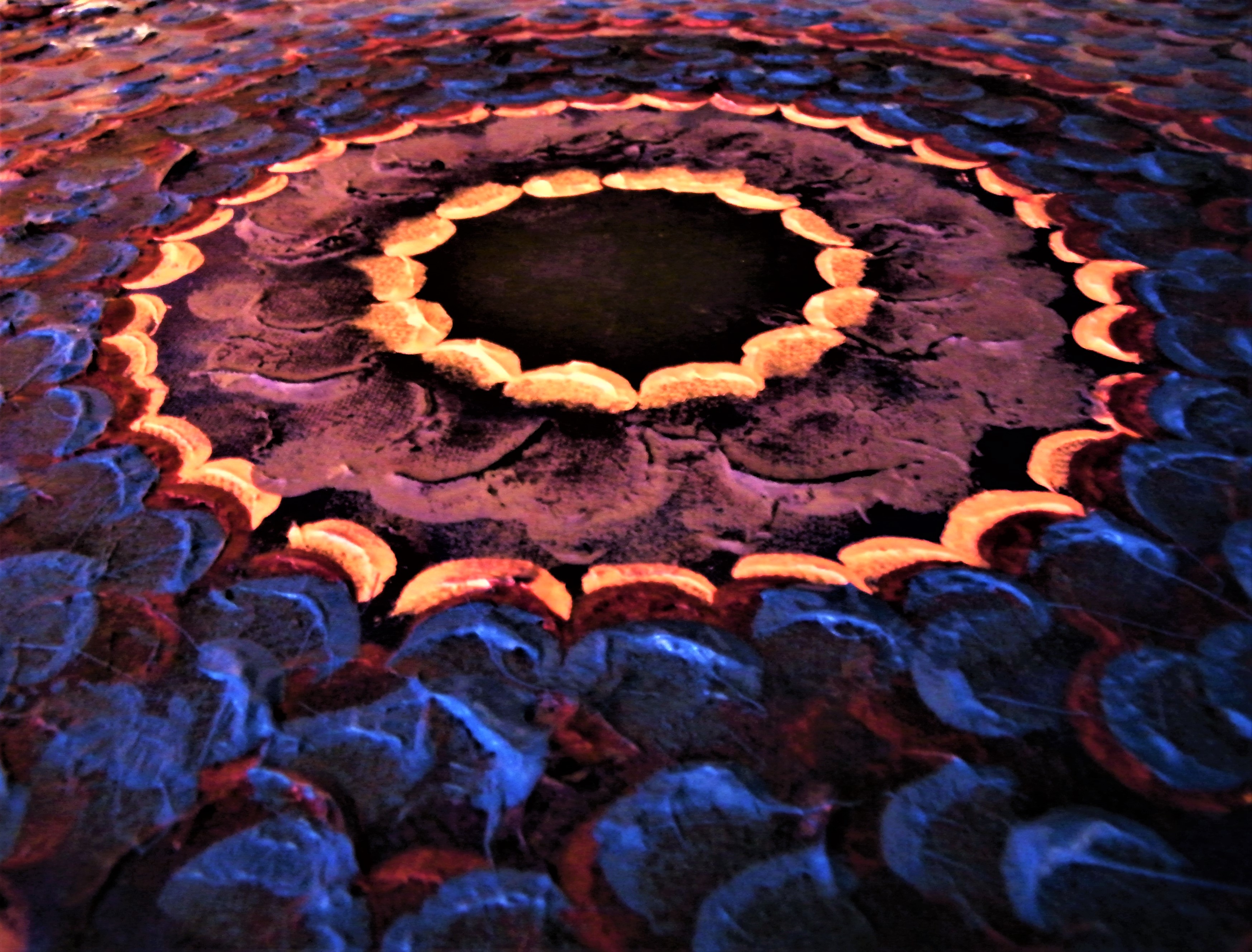 1 – CLOSE-UPS OF TOE PRINTS | RONALD GRAMLING