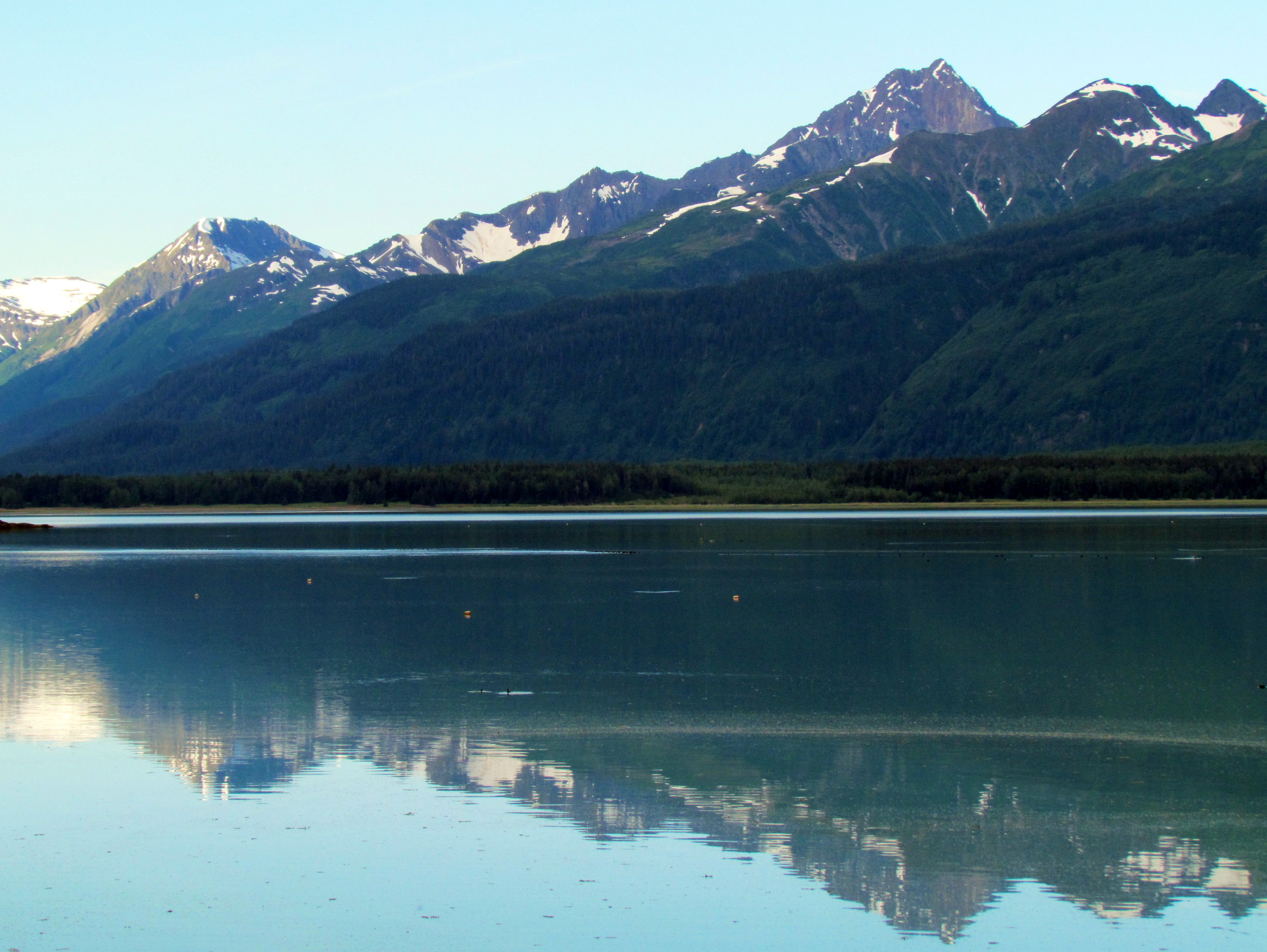 Fireweed Summer in Haines, Alaska | Ron Mitchell Adventure Blog