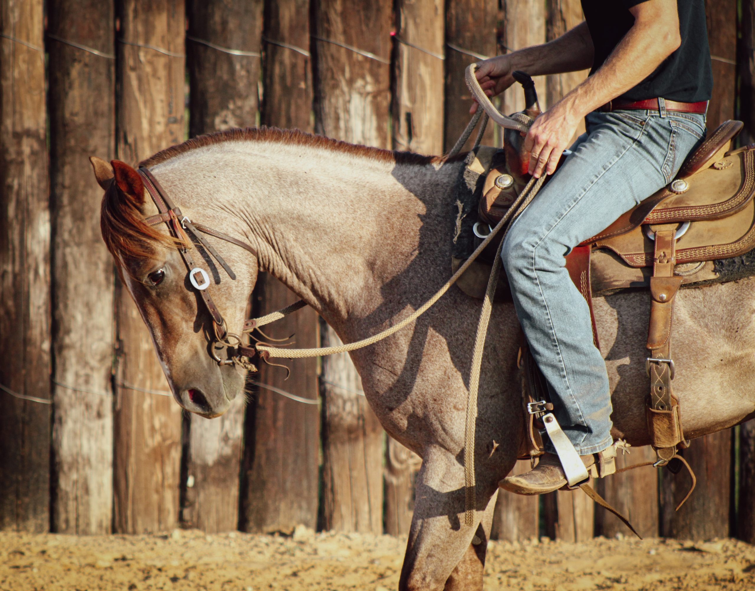 Supreme Wax Split Rein – Roohide Saddlery