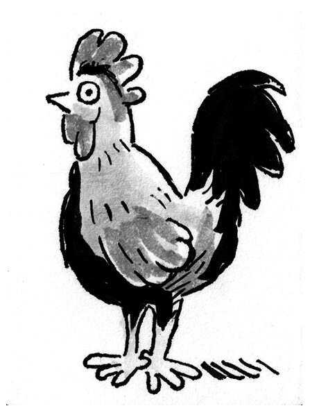 Homepage - Rooster Comics