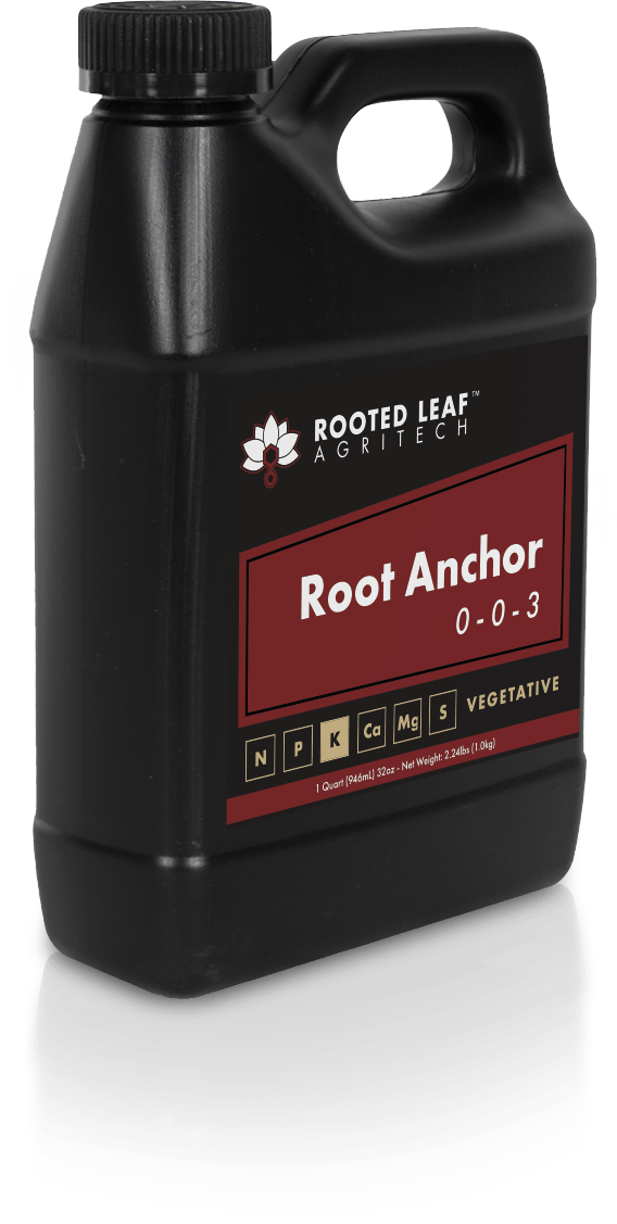 Root Anchor - Rooted Leaf Agritech