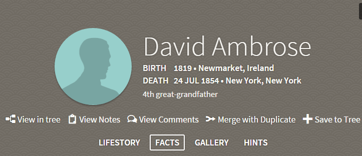 How to… Get Organized with Researching My Family Tree | Roots of Kinship