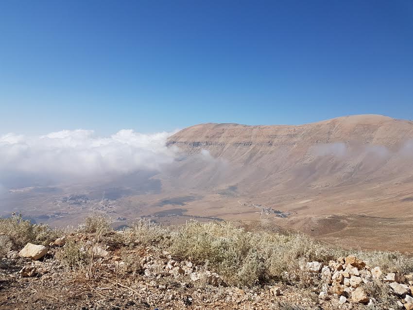 Ancient Tree Research Project~ Giant Cedars of Lebanon (Part 1) – Kat ...