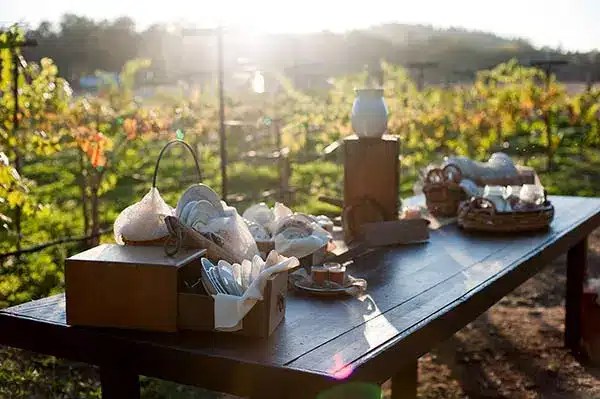 Achieve the Wedding Theme of Your Dreams - Rough & Ready Vineyards