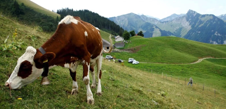 BBC | (Roughly) Daily