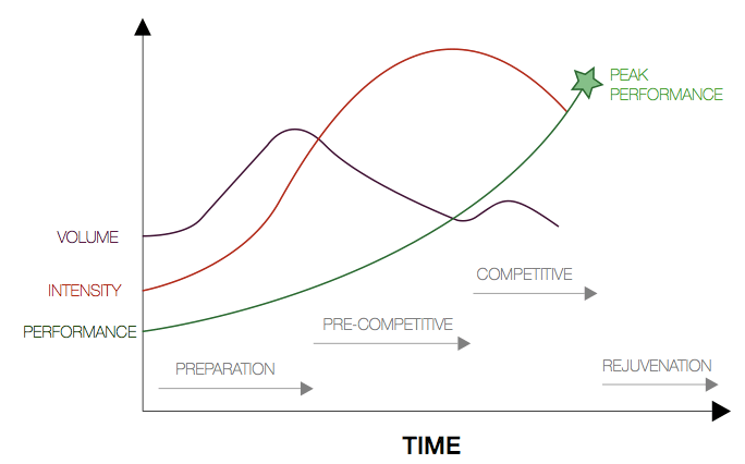 Basics of Strength Training for Rowing - Rowing Stronger