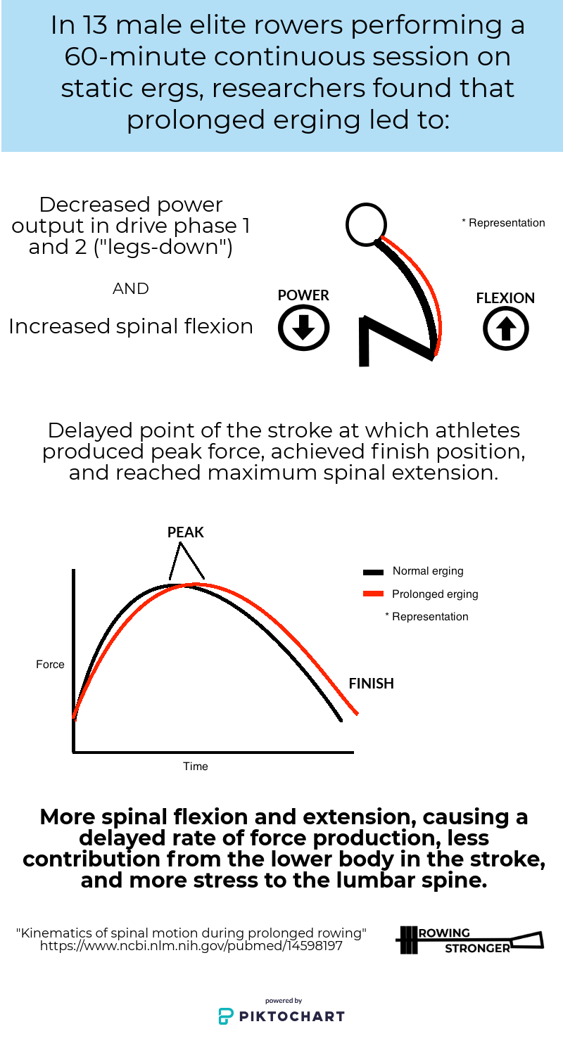 The Research on Low Back Pain and Rib Stress Injuries in Rowing ...