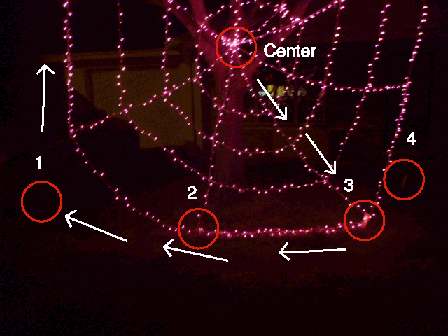 Picture Tutorial: DIY GIANT Spider Web!! | RoxanneStitches